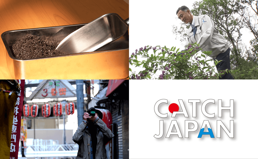 CATCH JAPAN | jibtv.com | Japan International Broadcasting Inc.