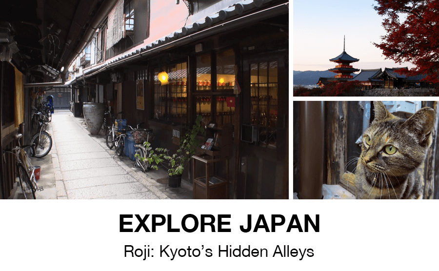 Explore Japan Roji: Kyoto’s Hidden Alleys | jibtv.com | Japan ...