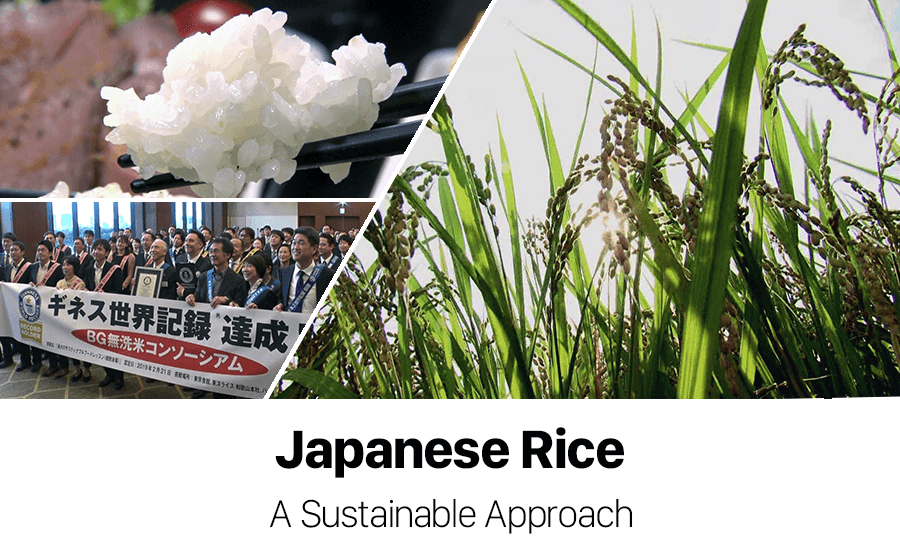 Japanese Rice A Sustainable Approach | jibtv.com | Japan International ...