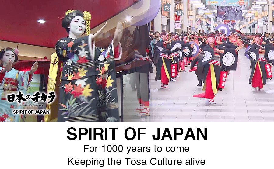 SPIRIT OF JAPAN For 1000 years to come: Keeping the Tosa Culture alive | jibtv.com | Japan ...