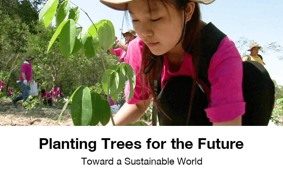 Planting Trees for the Future Toward a Sustainable World | jibtv.com ...